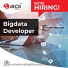 Bigdata Developer Ibcscorp